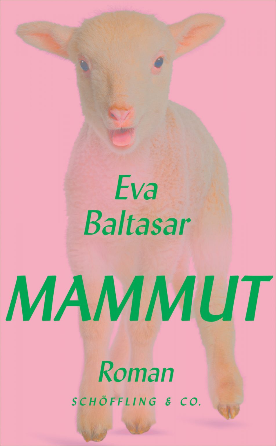 Eva Baltasar: Mammut – sissy